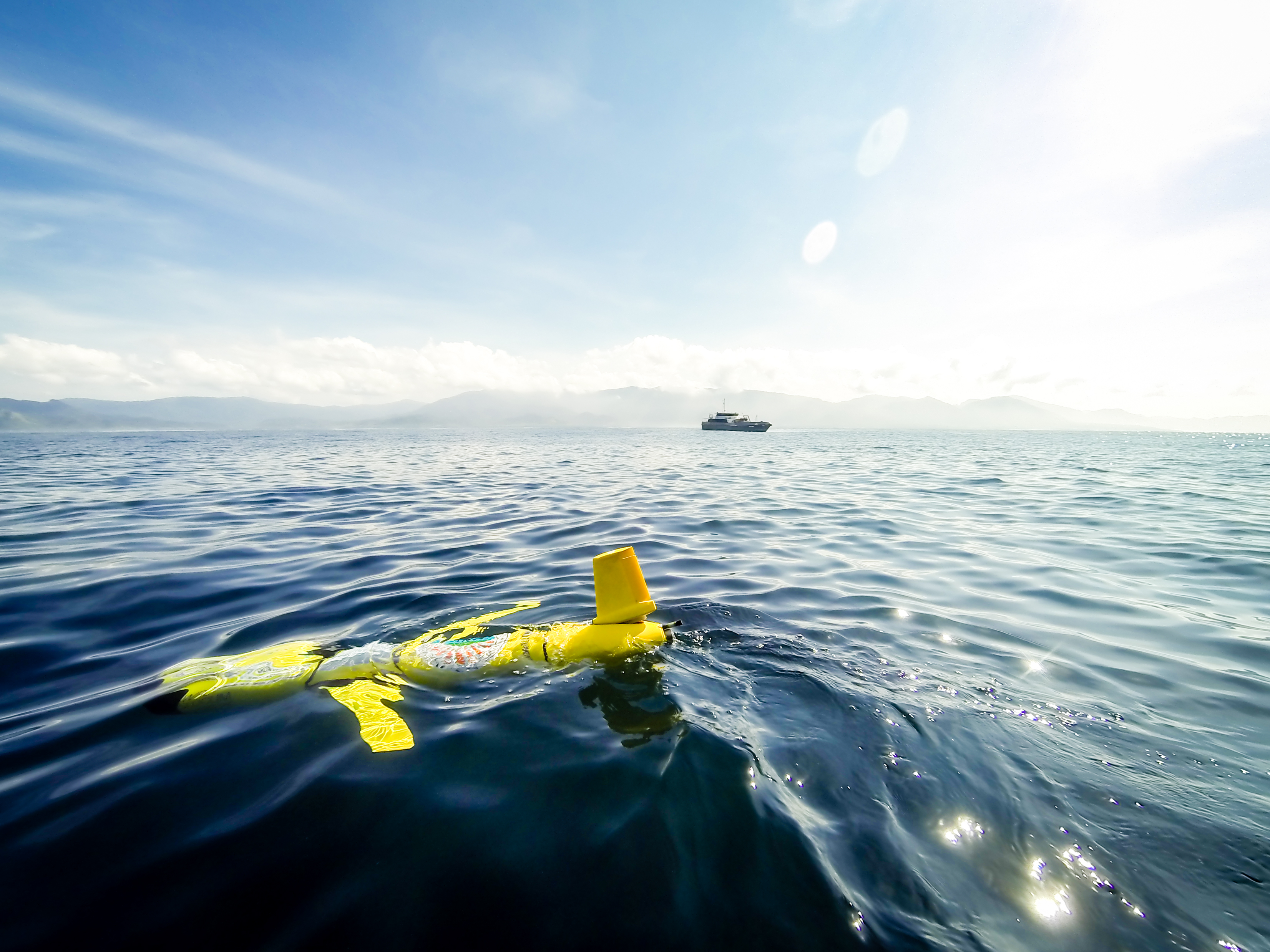 Aquatic Environment